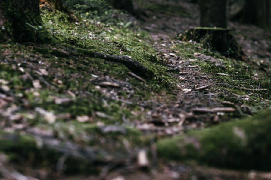 Maloja | Shop the Latest Outdoor, Sport, Technical and Fashion Apparel